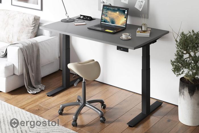 Электрорегулируемый Стол Ergostol Terra – купить в Москве по цене 66 190 ₽ | Интернет-магазин ...