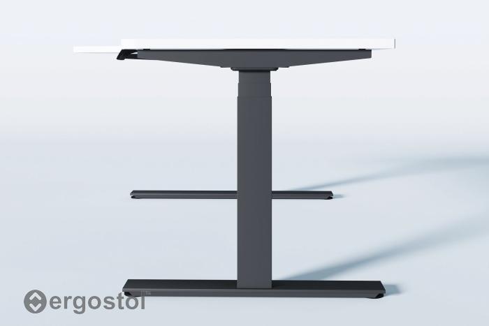 Электрорегулируемый Стол Ergostol Terra X – купить в Москве по цене 93 900 ₽ | Интернет-магазин ...